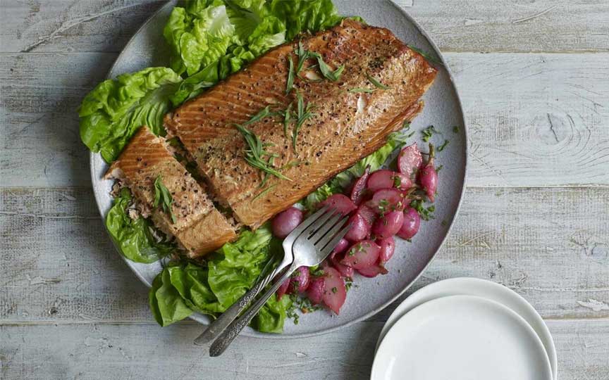 Rebel Fish Web Design & Development | Website Design Miami | FUZE